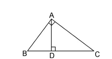 NCERT Solutions For Class Maths Chapter Triangles