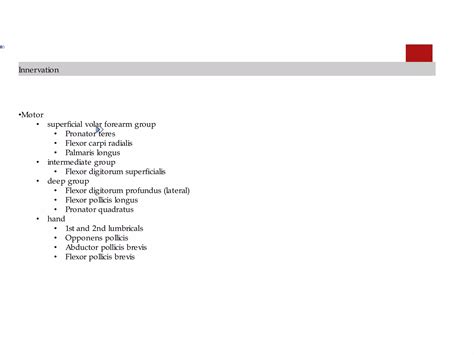 Median Nerve Pptx Death Injury Or Military Conflict Sensitive Topics