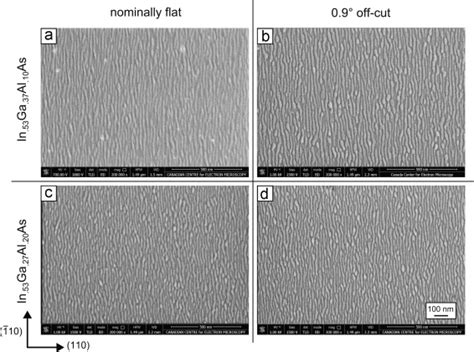 Secondary Electron Sem Micrographs Showing The Topography Of Inas
