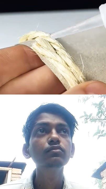 Scienceexperimentfactsviral Shorts Youtube