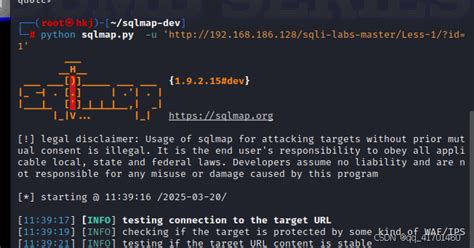 sql注入工具 sqlmap sql注入检查工具 csdn博客