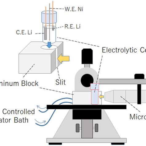 Schematic Diagram Of Observation System And The Electrolytic Cell Download Scientific Diagram