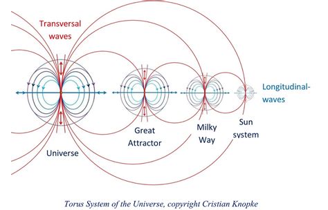 Torus System Of The Universe