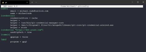 cài đặt và cấu hình git trên windows devops cloudtada