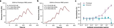 Binding Affinity And Neutralizing Capacity Of S304 For The Omicron