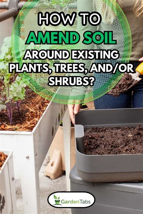 How To Amend Soil Around Existing Plants Trees And Or Shrubs