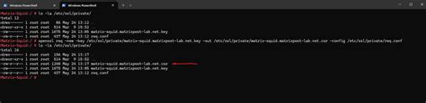 how to request a certificate from an internal pki ad cs by using the