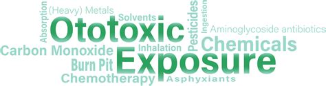 Ototoxic Exposure National Center For Rehabilitative Auditory Research Ncrar