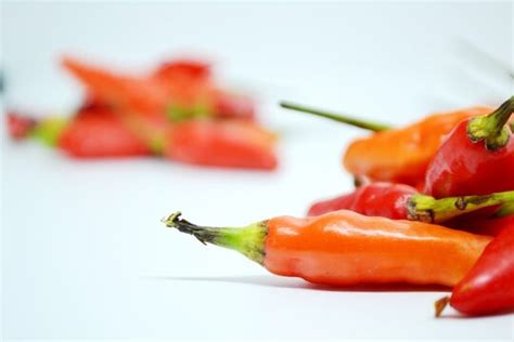 Capsin Bilder Durchsuchen 25 778 Archivfotos Vektorgrafiken Und Videos Adobe Stock