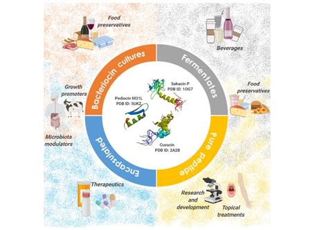 Figure 1 Potential Applications Of I Bacteriocin Producing Cultures Ii Bacteriocin