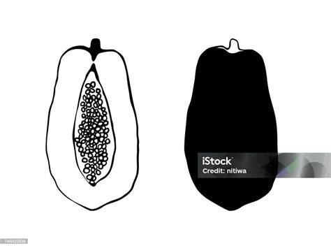 고립 된 흑백 흑백 일러스트 유치 한 손으로 그린 선 아트 파파야 전체 과일과 패턴 배경 벽지 커버 질감 등 벡터 디자인에 대 한 반 컷 과일 건강한 생활방식에 대한 스톡