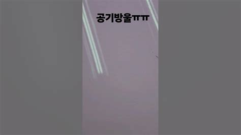 틴팅 열선 썬팅 틴팅재시공 방울썬팅 열선썬팅재시공 Sunting Tinting 임영웅 Youtube