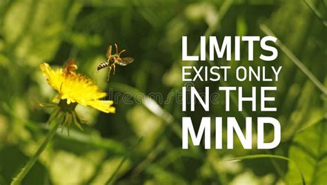 Limits Exist Only In The Mind Is Shown Using The Text Motivational Quote Stock Image Image Of