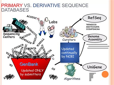 Introduction To Biological Databases Ppt