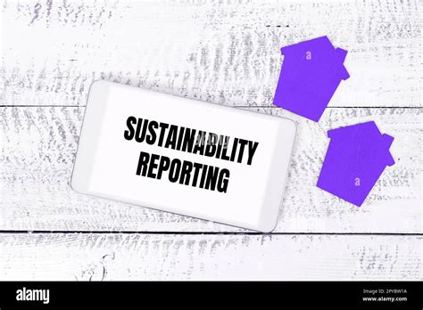 Writing Displaying Text Sustainability Reporting Word Written On Give Information Economic