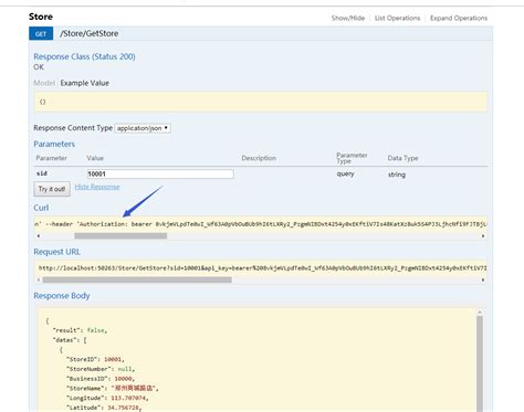 Net Webapi2 Swagger配置包含access Token验证 剑无尘 博客园