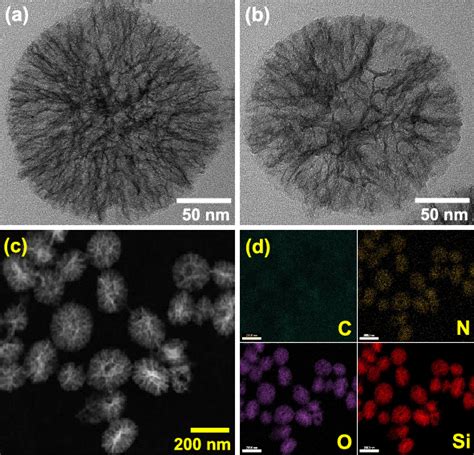 a b tem micrograph of a hs and b hs tepa 70 c haadf stem and
