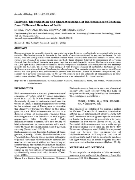 Isolation Identification And Characterization Of Bioluminescent Bacteria Pdf Luciferase
