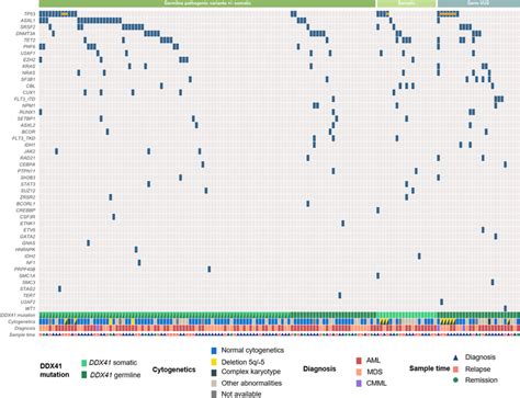 Mutational Profile Of All Patients In The Study Together With The Type