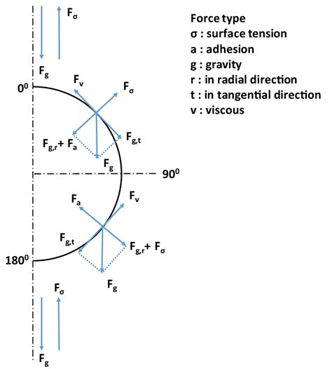 Type Of Forces Acting On Falling Film At Different Stages Download