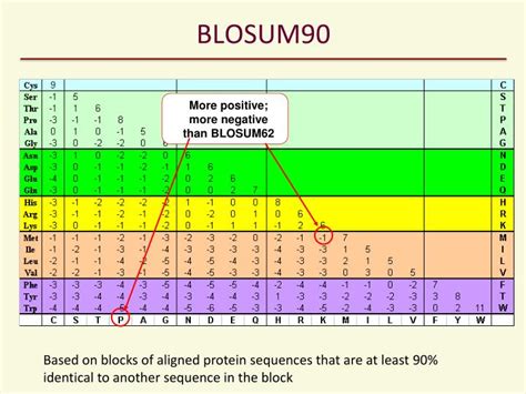 PPT Sequence Similarity Alignment With BLAST PowerPoint Presentation ID