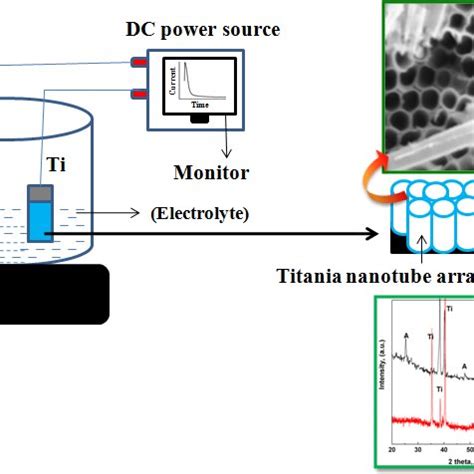 Mechanism Of TiO Nanotube Formation Download Scientific Diagram