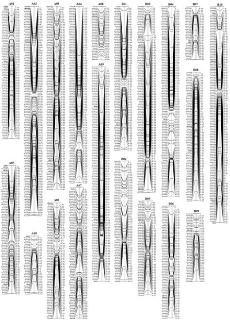 The Snp Based Genetic Linkage Map For Cultivated Peanut Using The Download Scientific Diagram