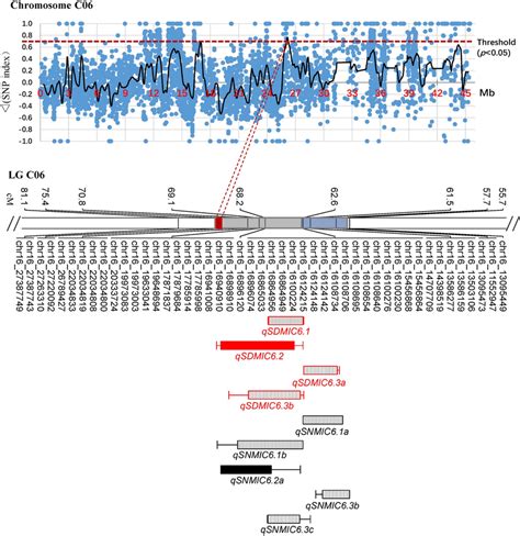 comparison of c06 qtl for sdmi identified by genome resequencing based