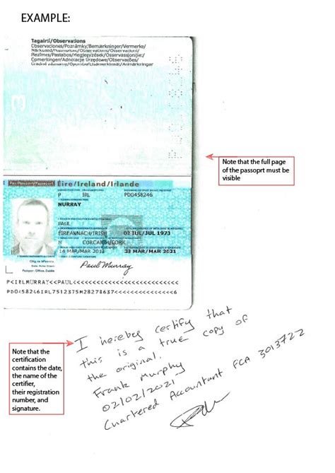 Dummy Passport Application Form At Marion Akers Blog