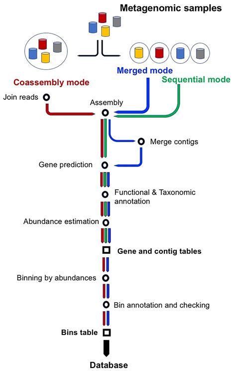 Frontiers Squeezemeta A Highly Portable Fully Automatic Metagenomic