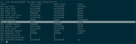 Too Many Open Files 错误导致服务器死循环
