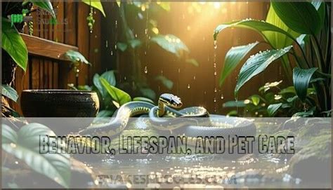 Fascinating Carpet Python Facts Behavior Habitat Care And Conservation