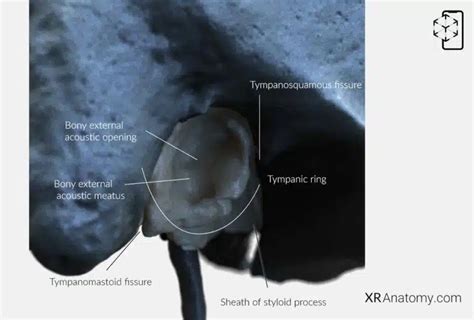 Temporal Bone Ar Atlas