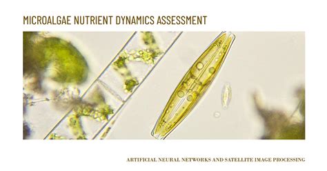Artificial Neural Networks And Satellite Image Processing For Enhanced Microalgae Nutrient