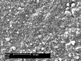 SEM images obtained for a CTF samples fired at º C b CTF Download Scientific Diagram