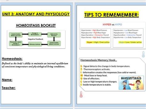 Homeostasis Exam Booklet Teaching Resources