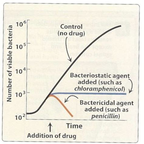 Antimicrobial Agents Part I Quizlet