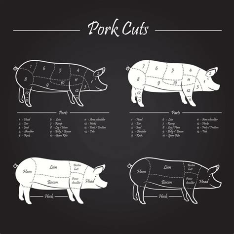72 British Cuts Of Pork Diagram Royalty Free Images Stock Photos Pictures Shutterstock