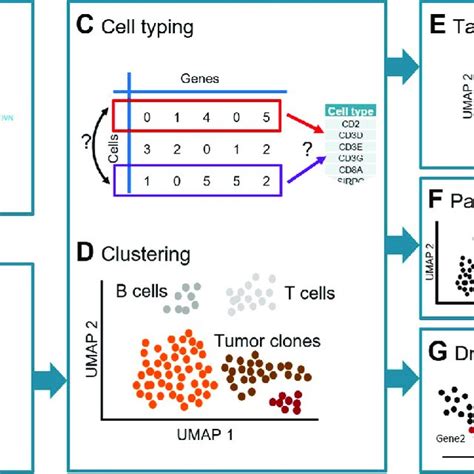 Overview Of The Workflow Implemented In Scampi Showing A Tumor Sample