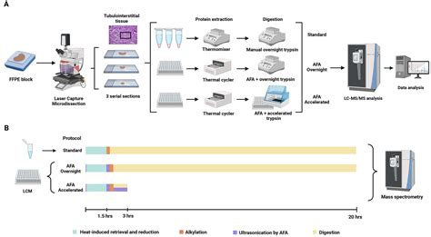 A High Throughput Workflow For Ffpe Tissue Proteomics Journal Of The American Society For Mass