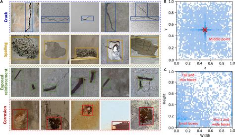 Yolox Dg Robotic Detection Systems For Large Scale Underwater Concrete