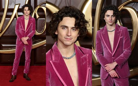 Timothée Chalamet Compie Oggi 29 Anni I Look Più Memorabili