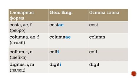 Имя существительное в латинском языке презентация онлайн