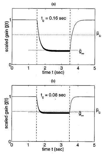 Periodic Stimulation Leads To Time Dependent Decrease Of Gain Of Download Scientific Diagram