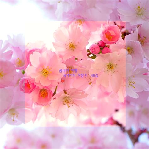 ‎아기의 감성발달과 숙면을 위한 자장가 멜로디 꿈나라 여행 Single Album By 뉴에이지 자장가 Apple Music