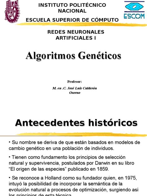 Algoritmos Geneticos Pdf Algoritmo Genético Áreas De Informática