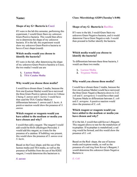 Unknown Bacteria Lab Report Name Shape Of My G Bacteria Is Cocci If I Were In The Lab This