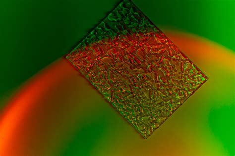 주황색 및 녹색 그라데이션 조명 야자수 잎사귀와 연단은 추상적인 배경에 네온 불빛으로 빛난다 트렌디한 기하학적 모양 모형 미니멀리즘 90년대 80년대 컨셉 클로즈업 1980