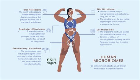 Half Your Body Isnt Human Living With Our Microbiomes Skin Diligent