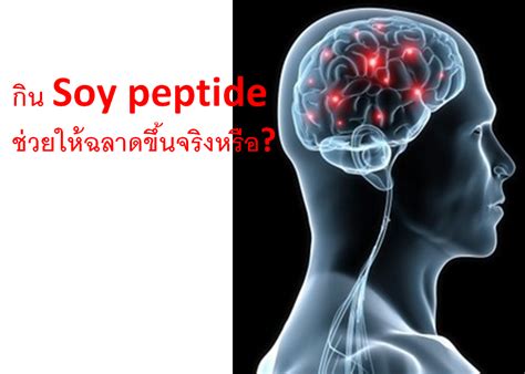 กินsoy Peptide ช่วยให้ฉลาดขึ้นหรือไม่ มูลนิธิเพื่อผู้บริโภค